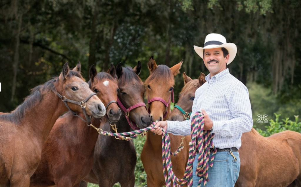 Horse Cremation Services | VPF Equine Removal & Cremation